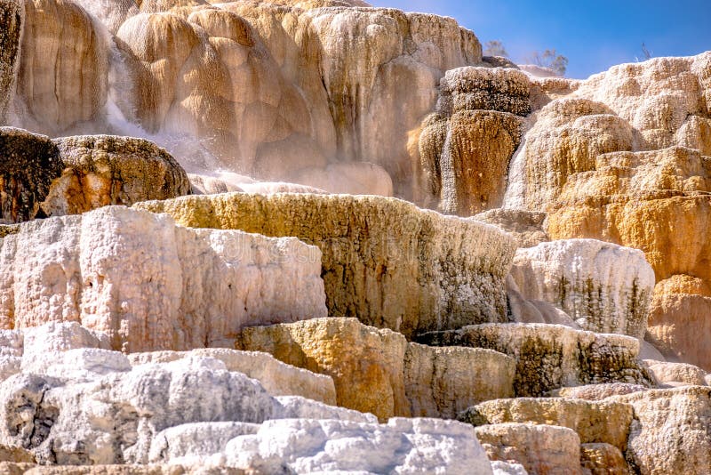 Travertine Terraces, Mammoth Hot Springs, Yellowstone Stock Photo ...