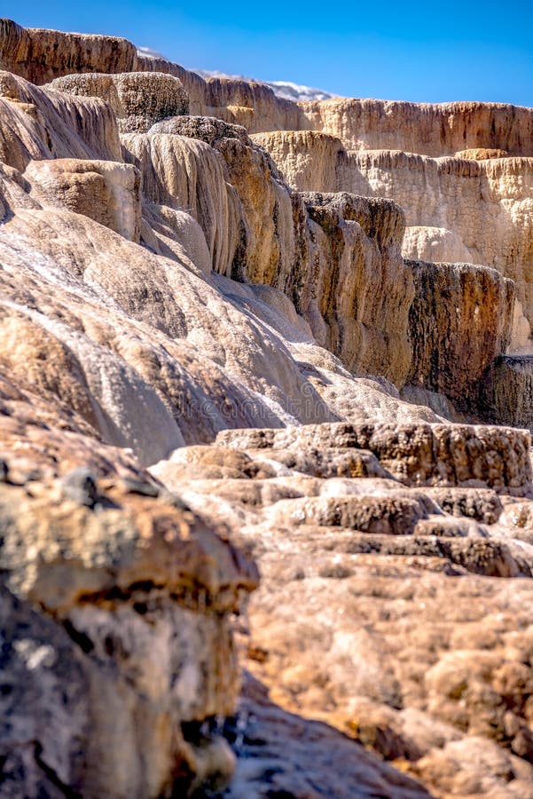 Travertine Terraces, Mammoth Hot Springs, Yellowstone Stock Photo ...
