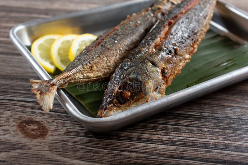 Galunggong Fish Stock Photos - Free & Royalty-Free Stock Photos from ...