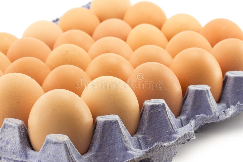 Tray of eggs stock image. Image of organic, carton, easter - 28487799