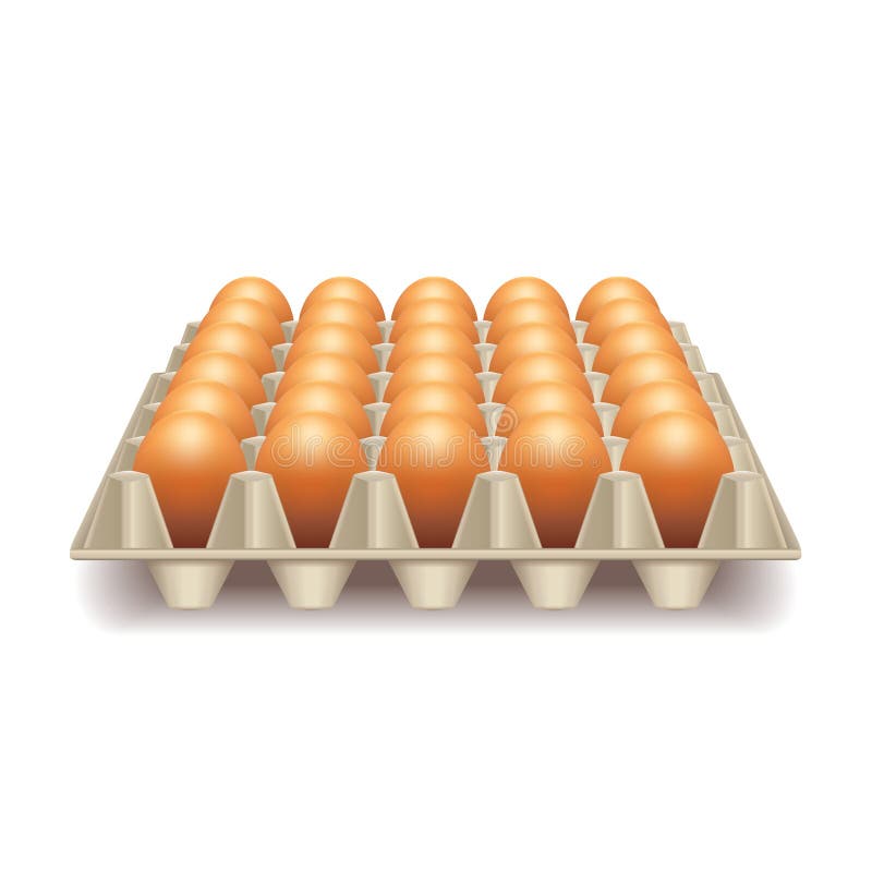 Eggs Tray Stock Illustrations – 1,595 Eggs Tray Stock Illustrations ...