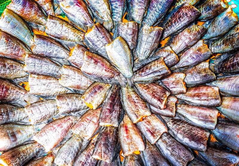 Tray of fish stock image. Image of fish, thailand, fresh - 43168591