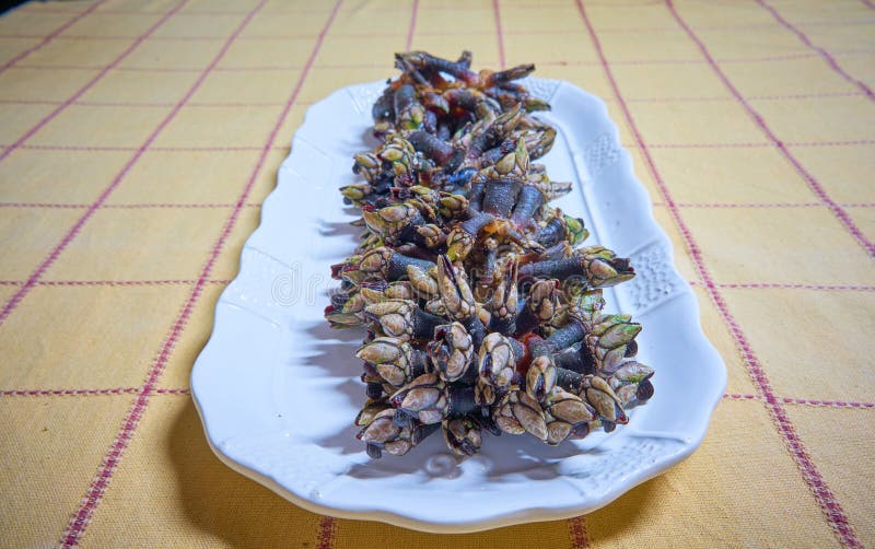 Freshly Picked and Ready To Eat Fish Stock Image - Image of barnacle ...