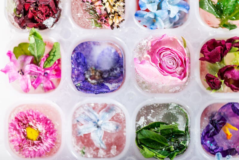 Tray with Frozen Flowers in Ice Cubes Stock Image - Image of cold ...
