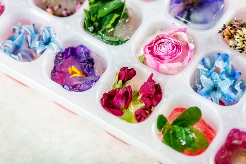 Tray with Frozen Flowers in Ice Cubes Stock Photo - Image of ...
