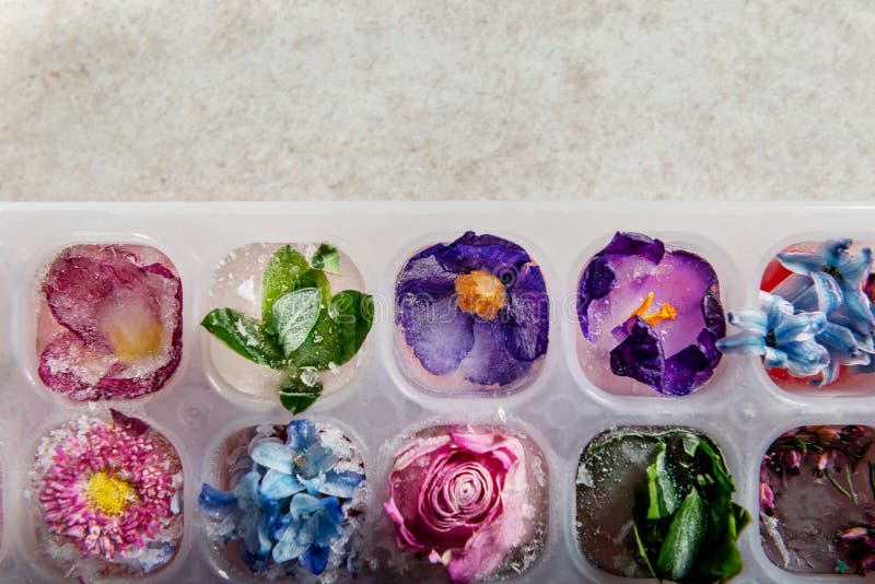 Tray with Frozen Flowers in Ice Cubes Stock Image - Image of flower ...