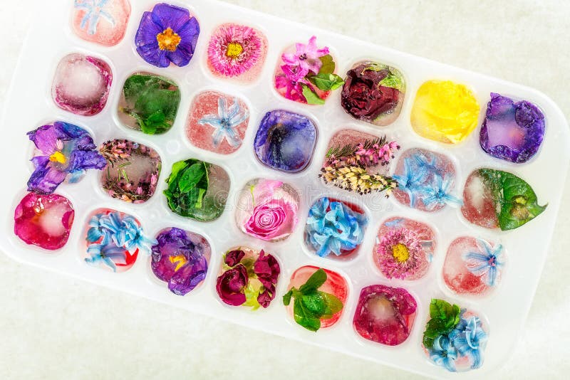 Tray with Frozen Flowers in Ice Cubes Stock Image - Image of closeup ...
