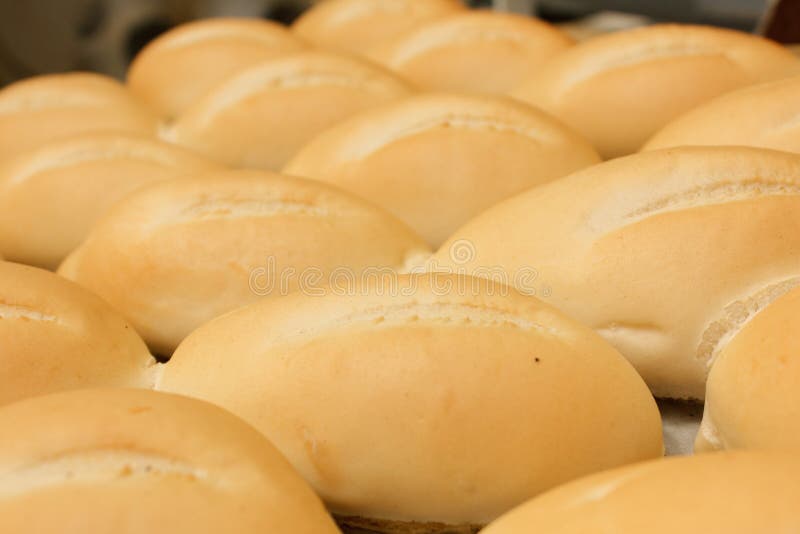 Tray Full of Bread Fresh from the Oven Stock Image - Image of oven ...