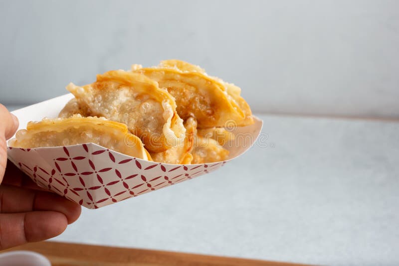 Tray of gyoza stock image. Image of potstickers, appetizer - 238155891