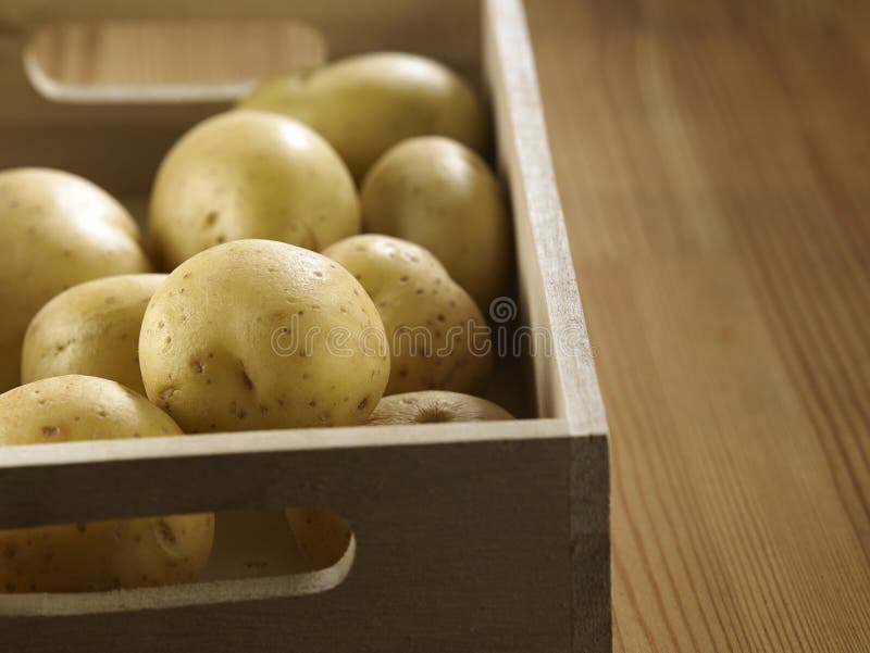 Tray of potatoes stock image. Image of root, brown, vegetarian - 48462003