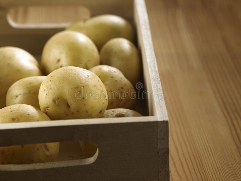 Tray of potatoes stock image. Image of root, brown, vegetarian - 48462003