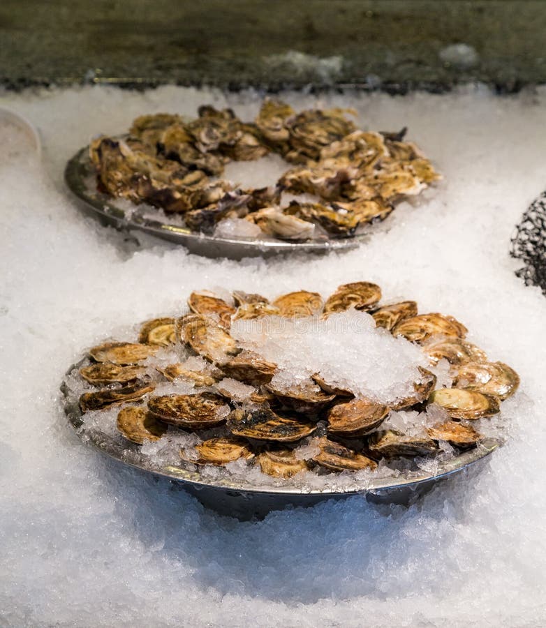 Trays of Oysters on Ice stock photo. Image of fish, edible - 88432004