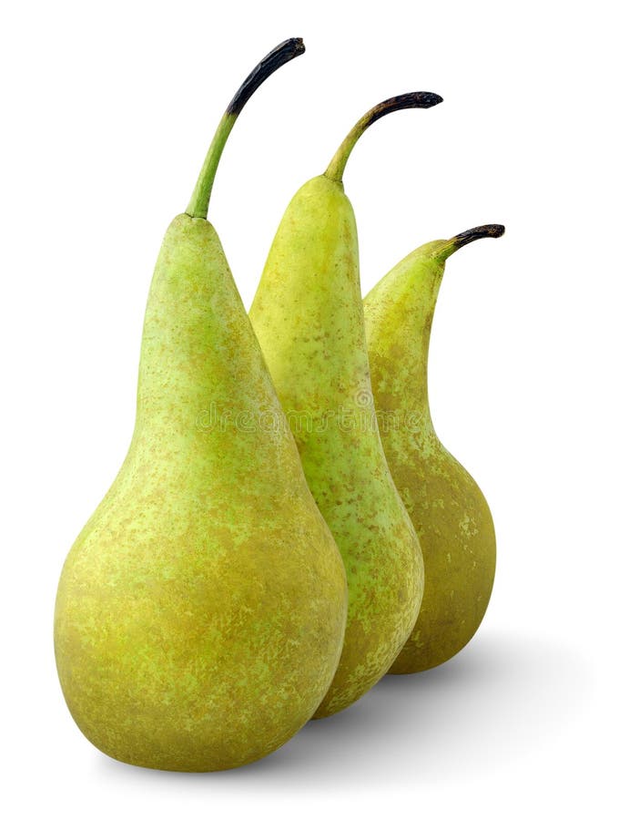 Tre pere immagine stock. Immagine di oggetto, isolato - 19015609