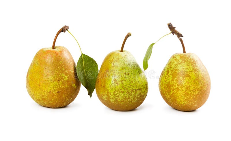 Tre pere mature immagine stock. Immagine di freschezza - 77188425