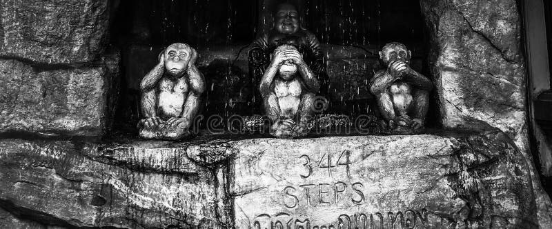 Tre scimmie fotografia stock. Immagine di nave, storico - 96331312