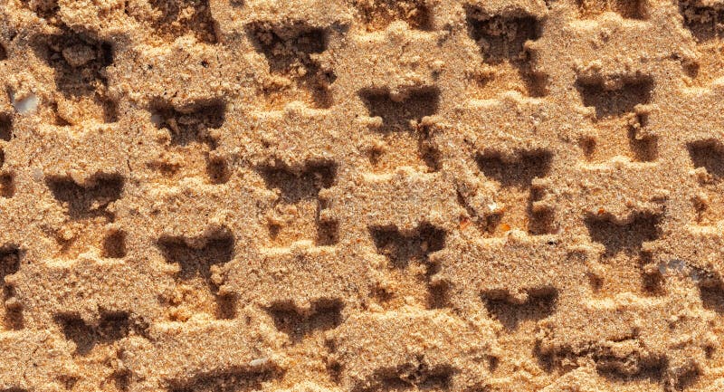 The Tread Marks of the Car in the Sand. Sea Sand Stock Photo - Image of ...