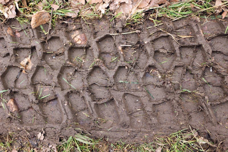 Tread Marks Imprinted into Mud Stock Photo - Image of tread, tracks ...