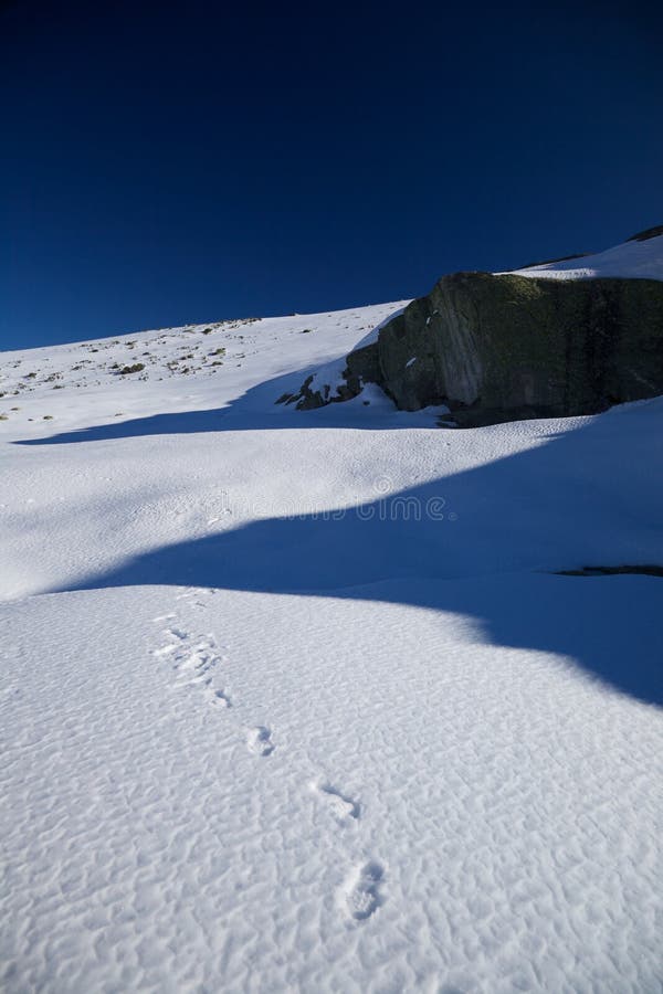 Treads on snow slope stock photo. Image of footprint - 20963484