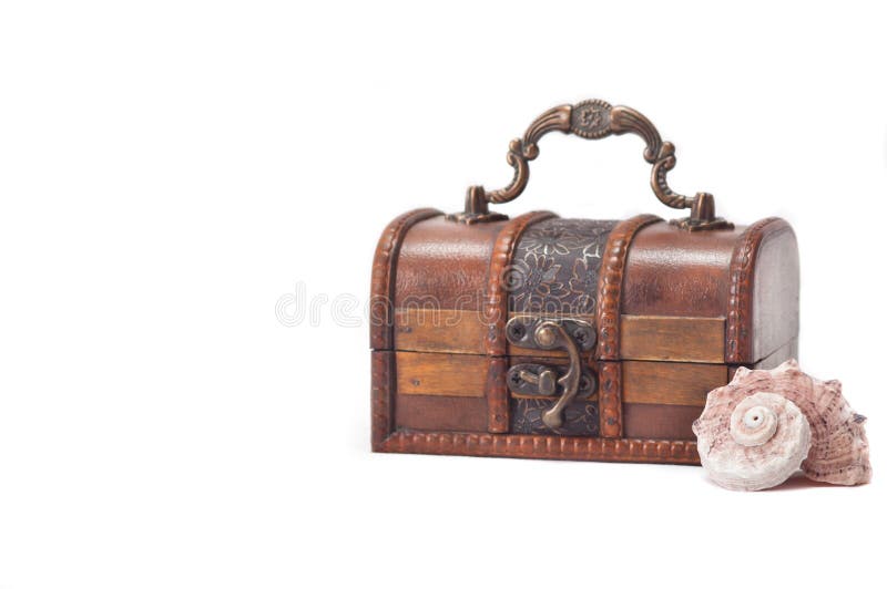 Treasure box with seashell stock photo. Image of treasure - 55512050