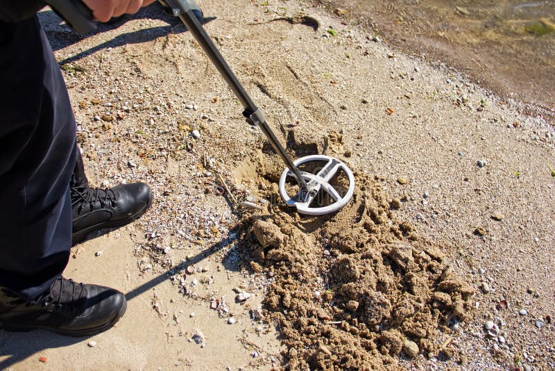 Treasure Hunting with a Metal Detector Stock Photo - Image of action ...