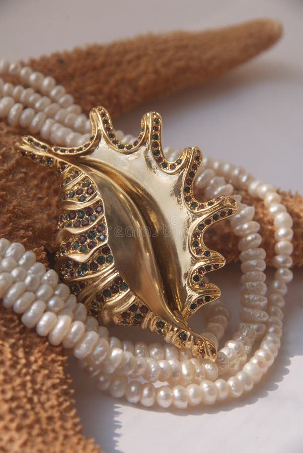 Treasures of the sea stock photo. Image of golden, shell - 5637258