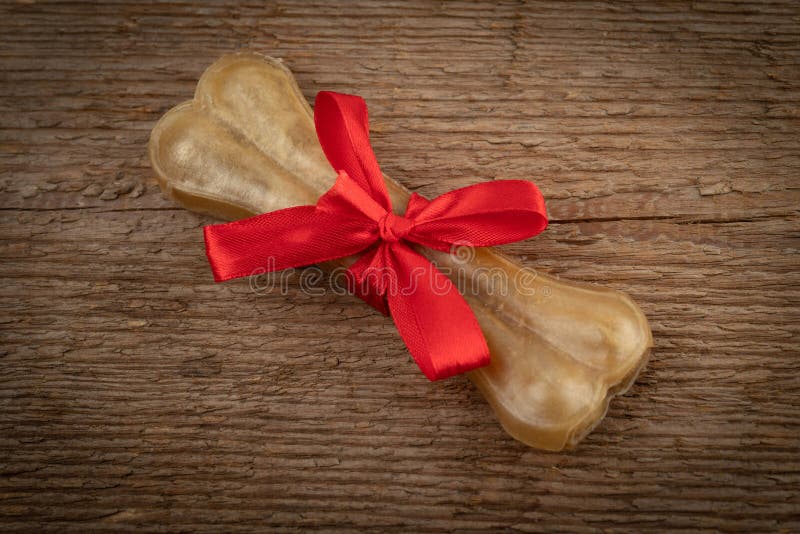 A Treat for Dogs - a Pressed Chewing Bone. Stock Image - Image of ...