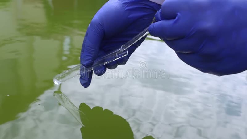 Water Sample. Treatment Facilities. Quality Control of Water that Has ...