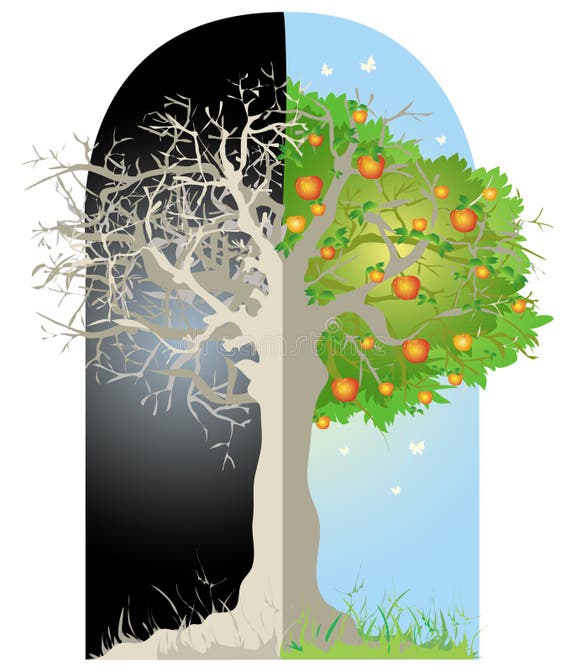 Faith Tree Stock Illustrations – 13,130 Faith Tree Stock Illustrations ...