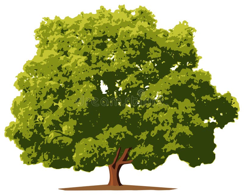 Tree Isolated 3D Illustration Stock Photo - Illustration of white ...