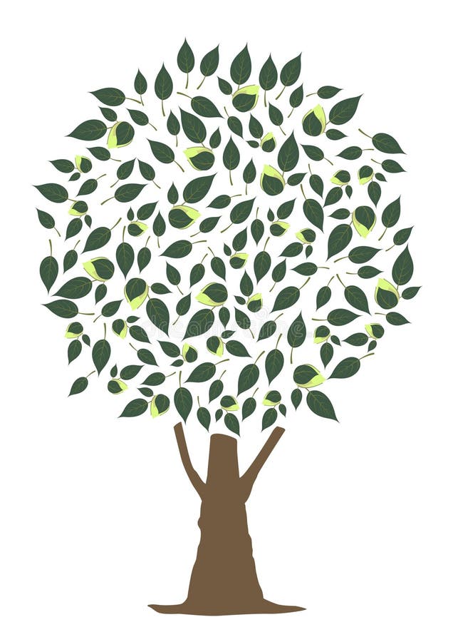 Tree Picture. Image: 15840949