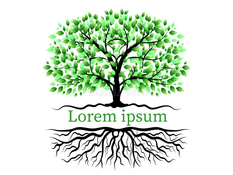 Tree Roots Logo Stock Illustrations – 7,768 Tree Roots Logo Stock ...