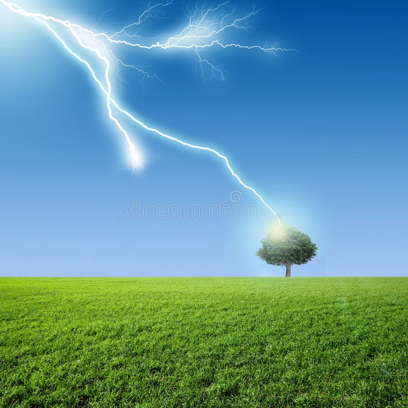 Tree stock illustration. Illustration of spring, horizon - 18848265