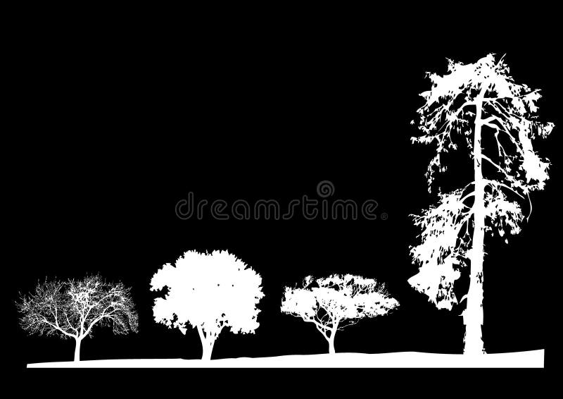 Negative Tree Stock Illustrations – 4,167 Negative Tree Stock ...