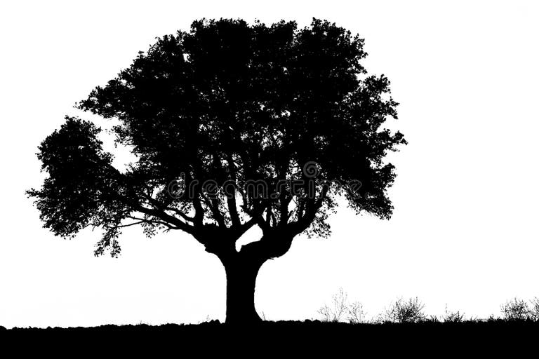 Tree Forms Stock Illustrations – 19,118 Tree Forms Stock Illustrations ...