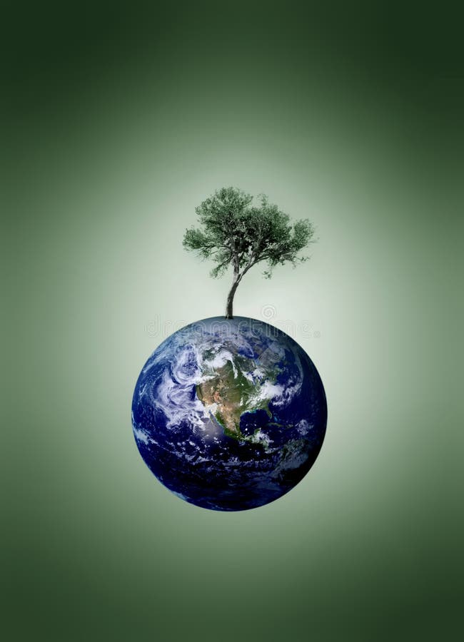 Tree growing from earth stock image. Image of earth, grow - 8481435