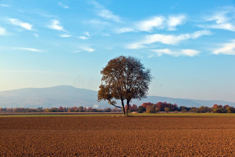 Apple Trees Acre Stock Photos - Free & Royalty-Free Stock Photos from ...