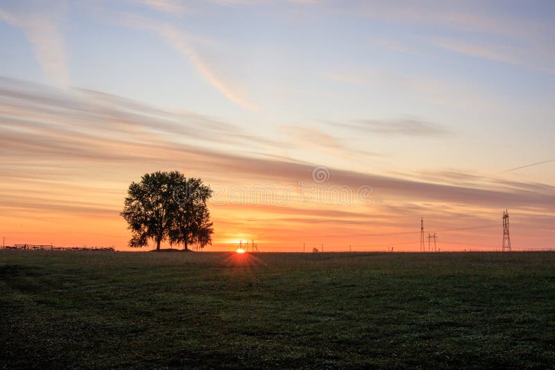 Tree Against the Background of the Dawn Sky in the Distance Supports ...