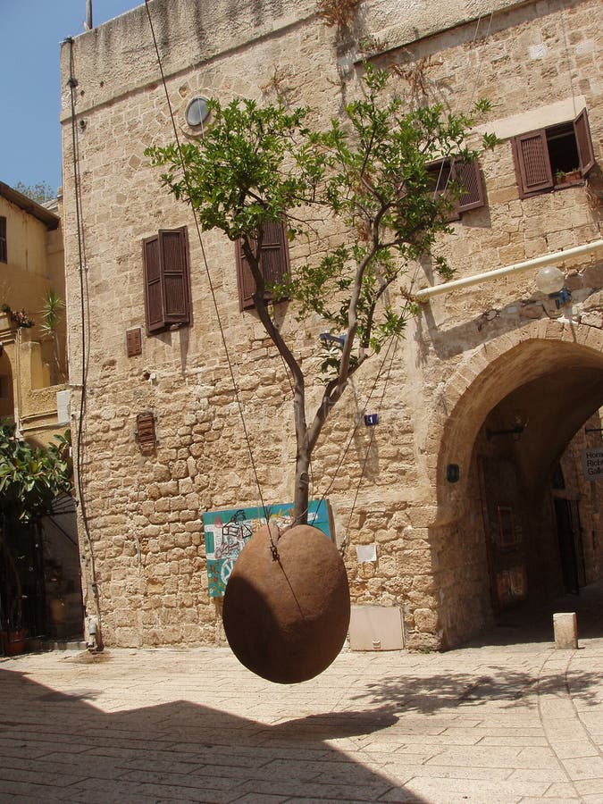 The Tree in the Air, Old Jaffa Stock Image - Image of tree, israel: 202883
