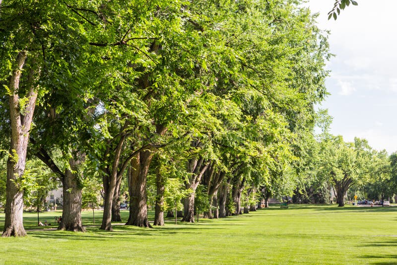 Campus stock image. Image of summer, western, america - 88413711