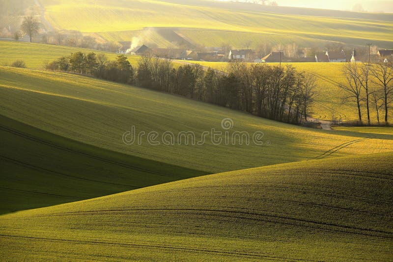 Tree Alleys among Rolling Spring Fields, Shades of Green and Brown ...