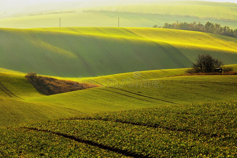 Rolling Fields Acting on Man Like Huge Green Waves of Stormy Sea Stock ...