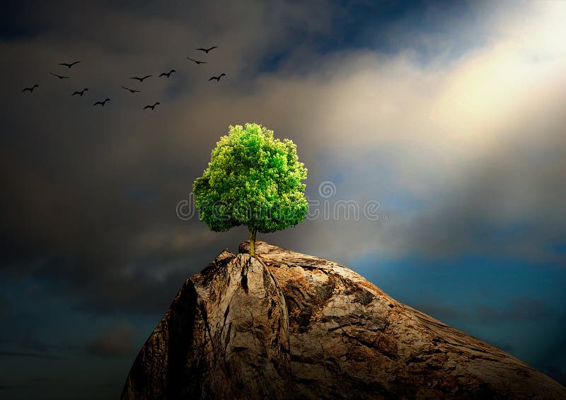 Faint Sunrise Stock Illustrations – 18 Faint Sunrise Stock ...