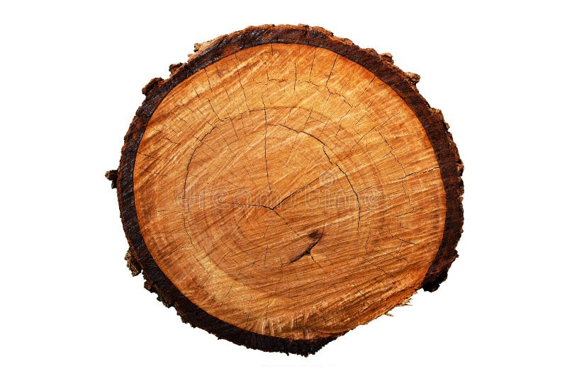 Tree Annual Ring (Die Cutting) Stock Image - Image of background, tree ...