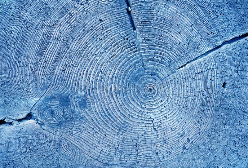 Tree Annual Rings Texture in Blue Tone Stock Image - Image of timber ...