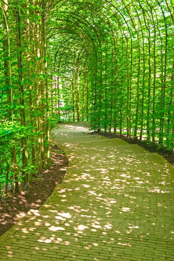 Tree Arched Enclosed Sunlit Pathway Stock Photos - Free & Royalty-Free ...