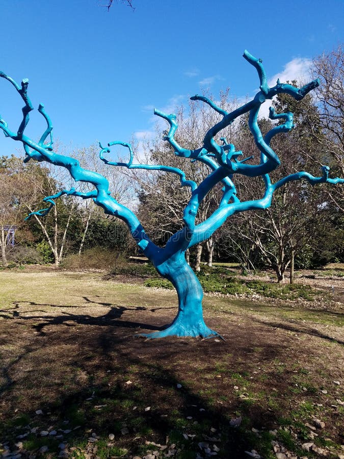 Tree Art in the Garden stock image. Image of outside - 158208703