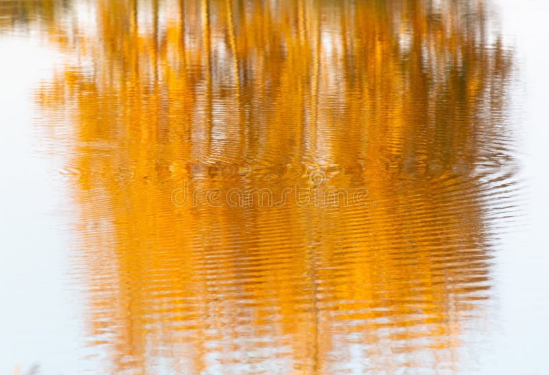 Tree in Autumn Reflection of Lake Water. Background Stock Image - Image ...