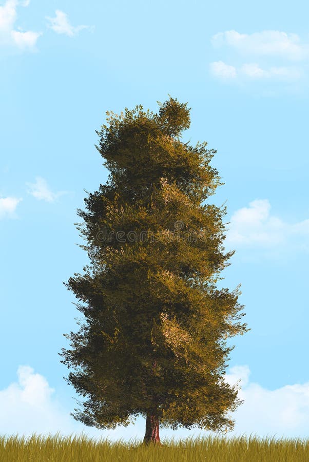 Tree in Autumn Season stock image. Image of lush, orange - 41153809