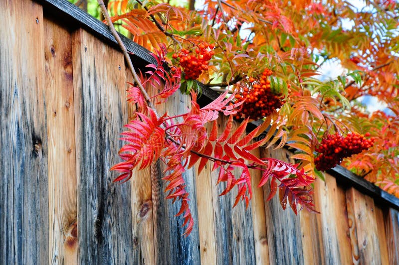 Hello Autumn Cotober Background Stock Photos - Free & Royalty-Free ...