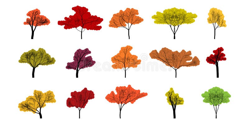 Tree. Autumn Trees Different Shape and Color. Autumn Tree, Isolated ...